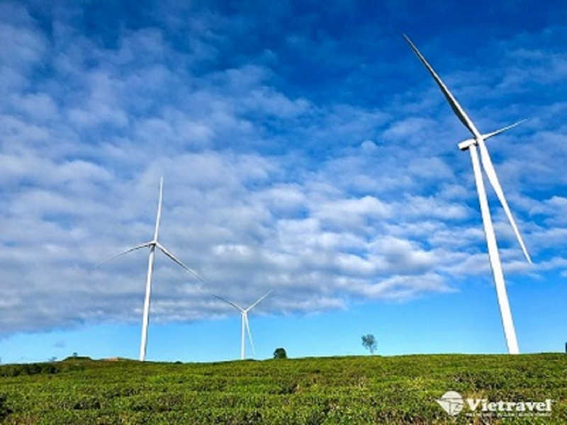 Đặt tour Đà Lạt - Thác Dambri - Samten Hills Đà Lạt - Đồi Chè Cầu Đất ...