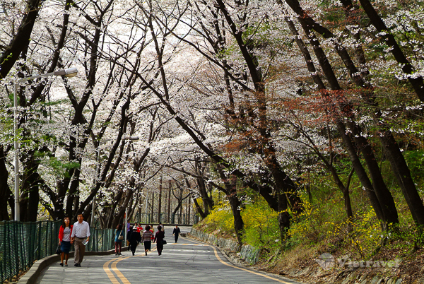 Đặt tour Hàn Quốc: Vinh - Hà Nội - Seoul - Công viên Everland - Tháp ...